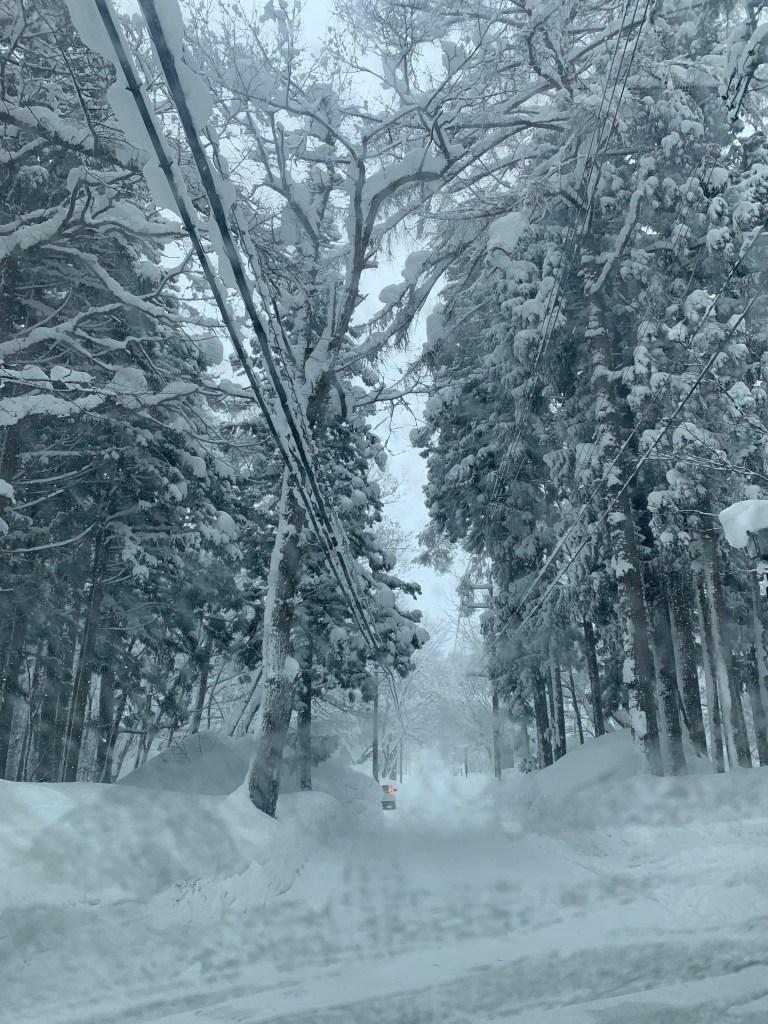 Life in a Snow Globe - Navy Wife, Cozy Life